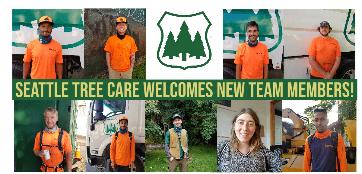 Seattle Tree Care Welcomes New Team Members - Seattle Tree Service ...