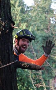 About Seattle Tree Care, Certified Arborists, Local Team Serving You ...