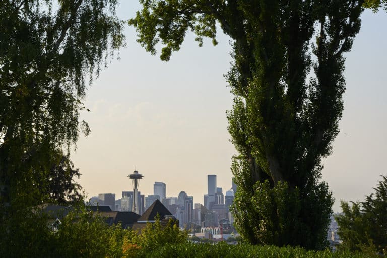 Do You Need A Permit To Remove A Tree In Seattle? - Seattle Tree Care ...