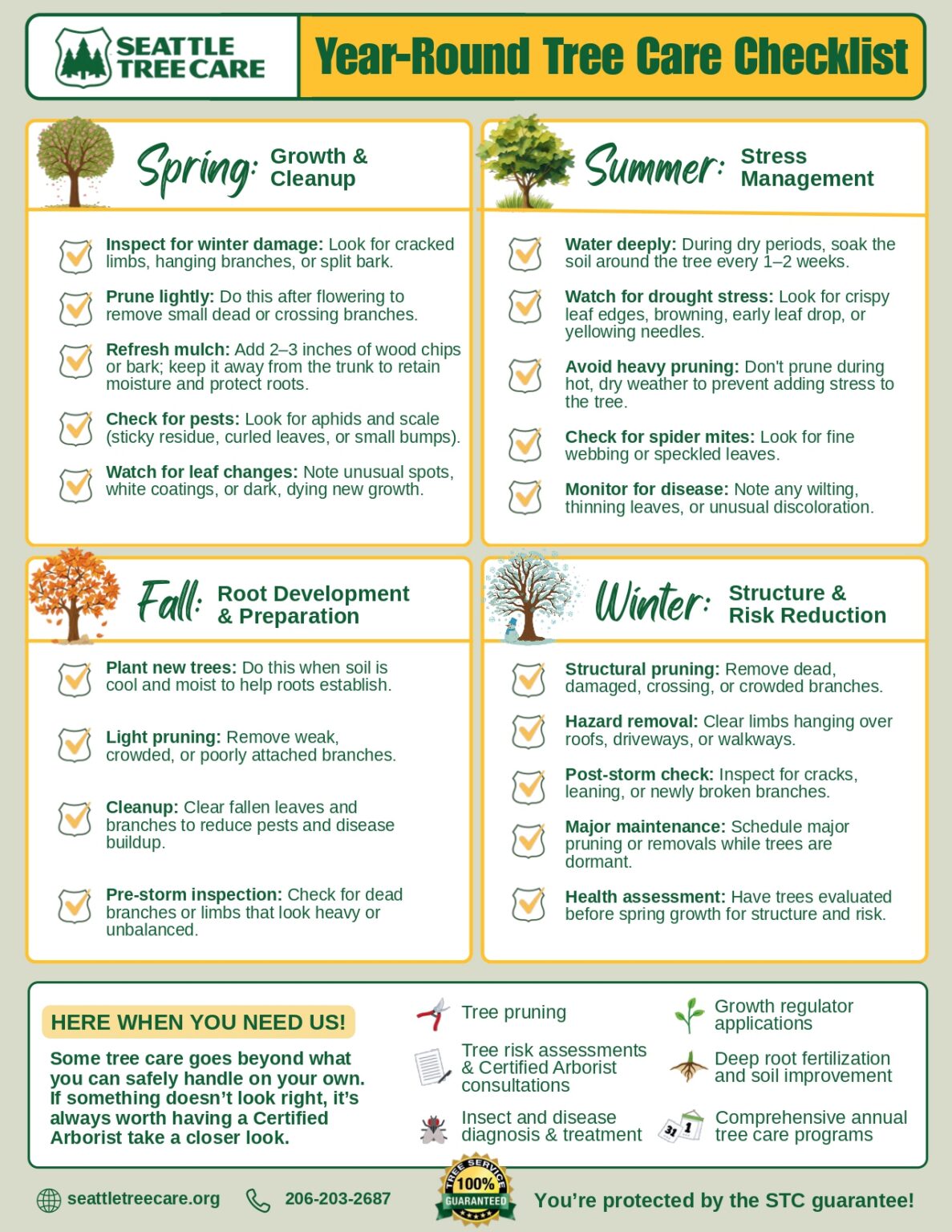 Seattle Tree Care, Tree Service By Certified Arborists - Removal ...