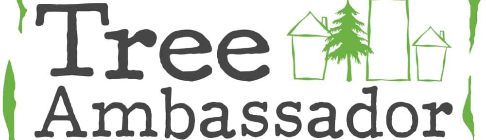 Take A Tree Walk - Seattle Tree Care - Greater Seattle Region & Puget ...