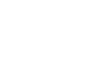 5 Best Spring-Flowering Trees For Seattle | Seattle Tree Care